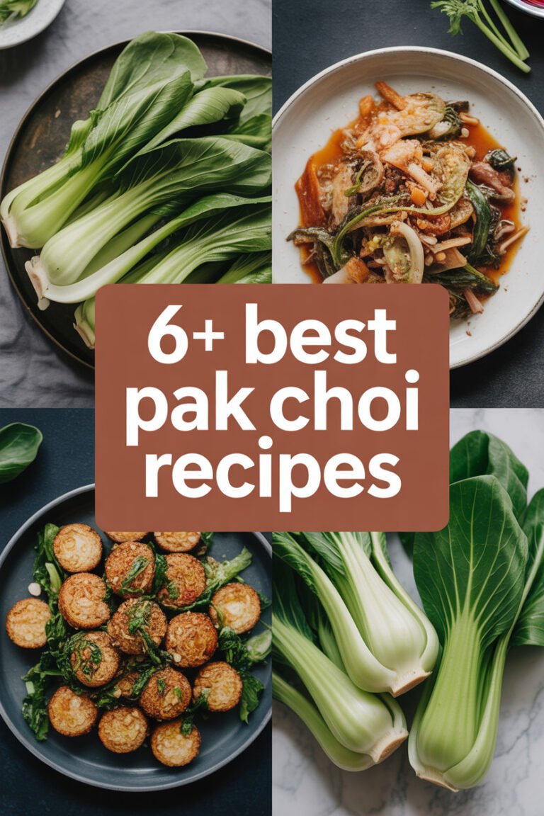 15+ Favorite Pak Choi Recipes You’ll Love to Try for a Fresh and ...