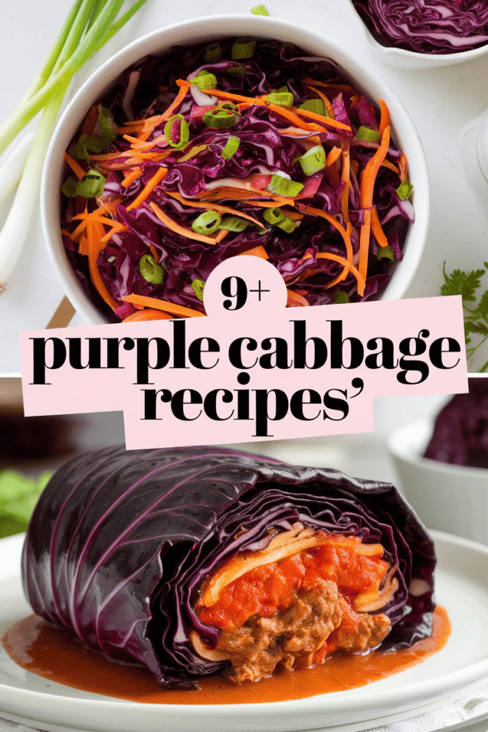Purple Cabbage Recipes – Food on Ostrali.com