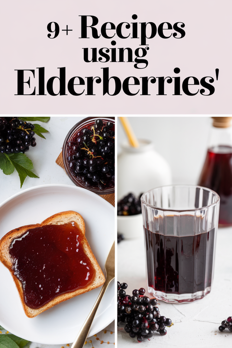 18+ Delicious Elderberry Recipes to Boost Your Health and Delight Your ...