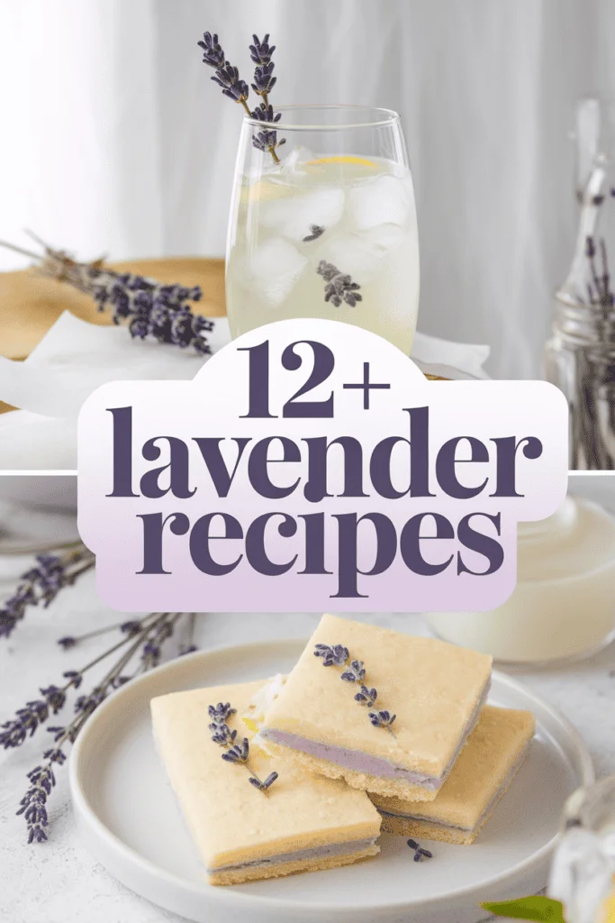 12+ Delicious Lavender Recipes You Must Try for a Taste of Elegance ...