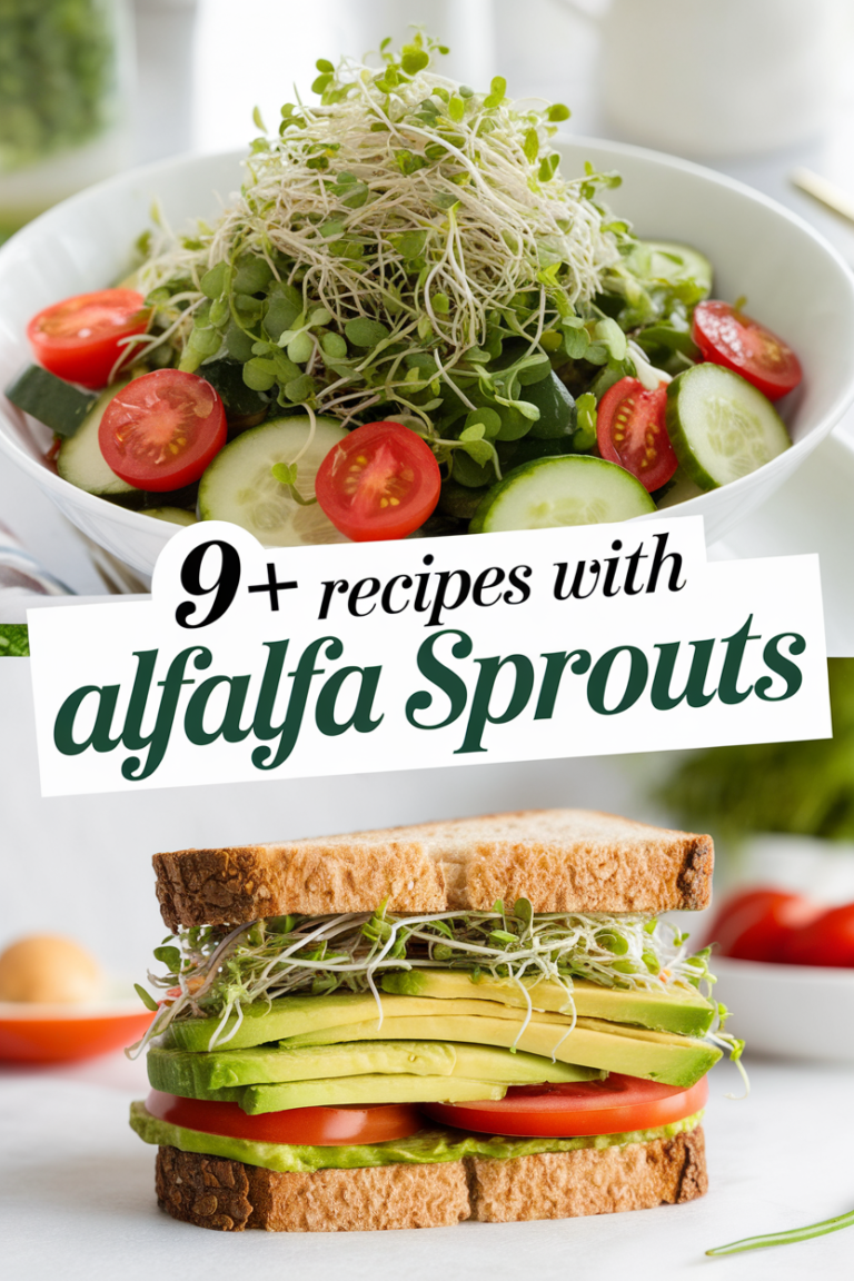 9+ Best Recipes with Alfalfa Sprouts to Brighten Your Meals and Delight Your Taste Buds! – Food ...