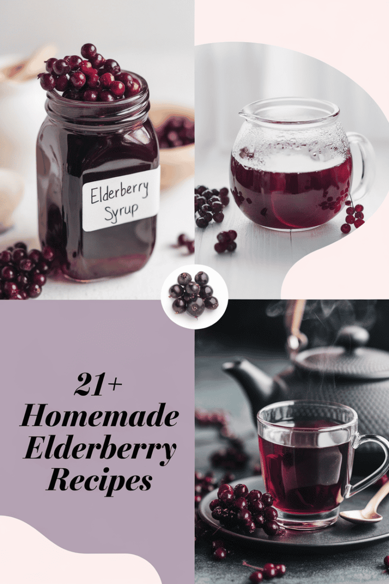15+ Easy Elderberry Syrup Recipes to Boost Your Health and Delight Your ...