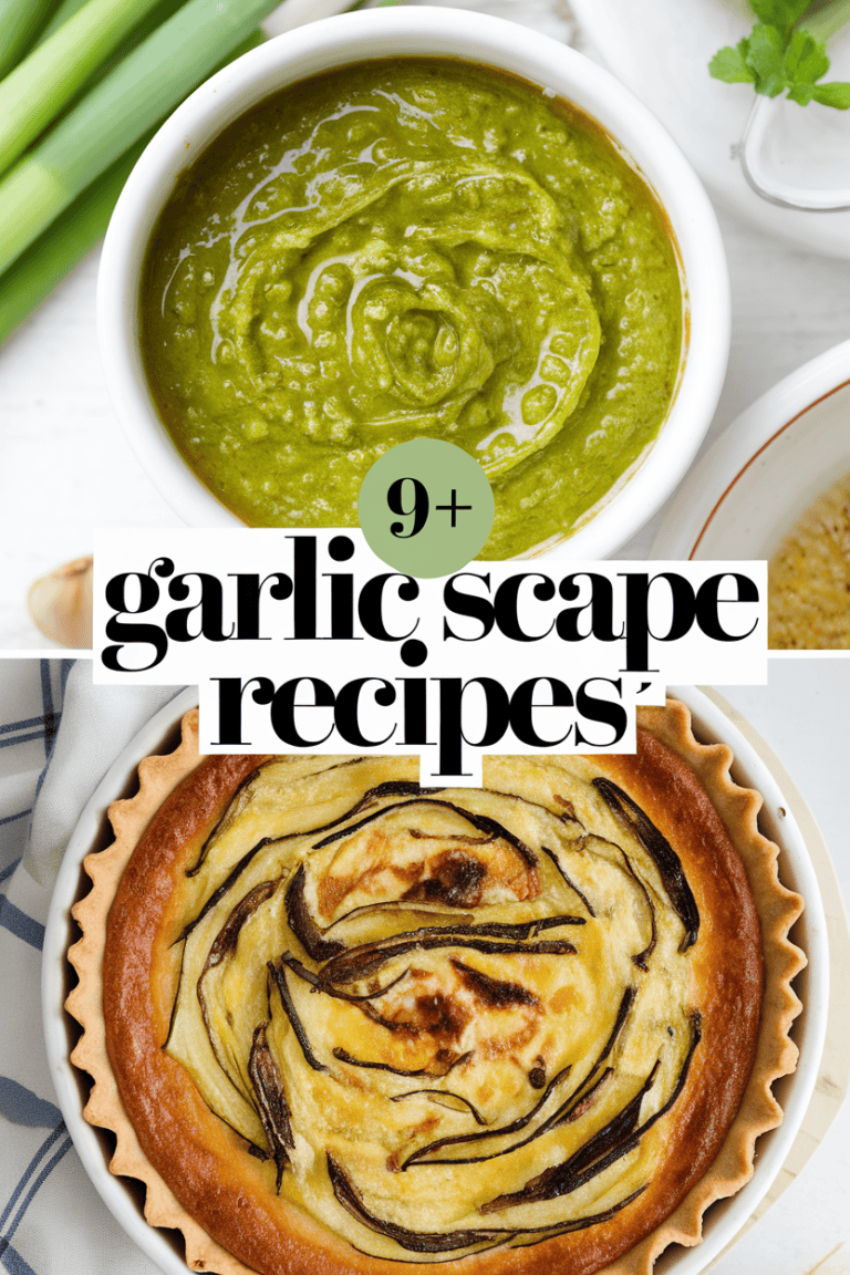 9+ Amazing Garlic Scape Recipes You Need to Try for a Flavorful Twist ...