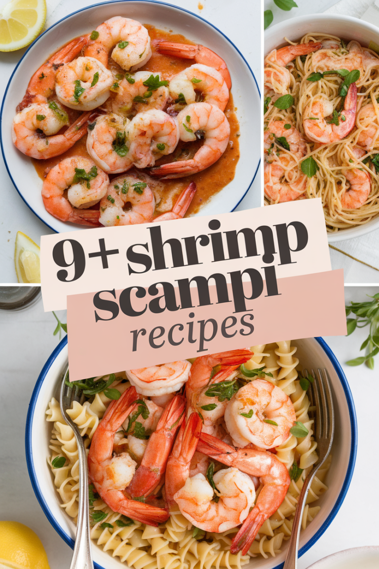 12+ Favorite French Shrimp Recipes That Will Delight Your Taste Buds ...