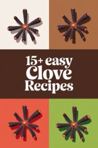 15+ Easy Clove Recipes to Spice Up Your Cooking and Delight Your Taste ...