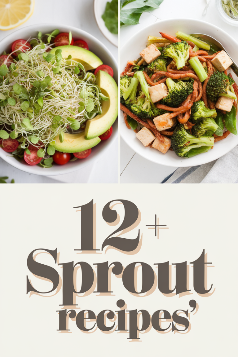 9+ Best Recipes with Alfalfa Sprouts to Brighten Your Meals and Delight ...