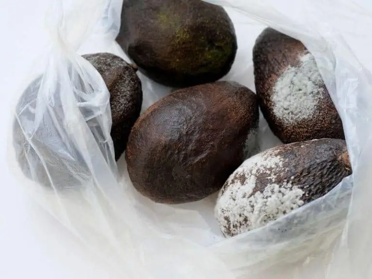 Mold on Outside of Avocado: What To Do?