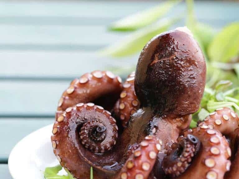 Is Octopus Halal? (Different Schools)