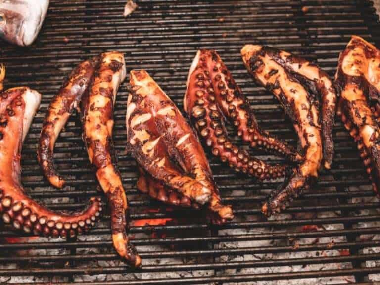 Is Octopus Halal? (Different Schools)