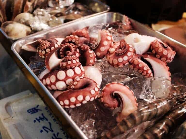 Is Octopus Halal? (Different Schools)