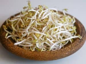 Chinese Egg Rolls with Bean Sprouts – A Delicious and Healthy Option