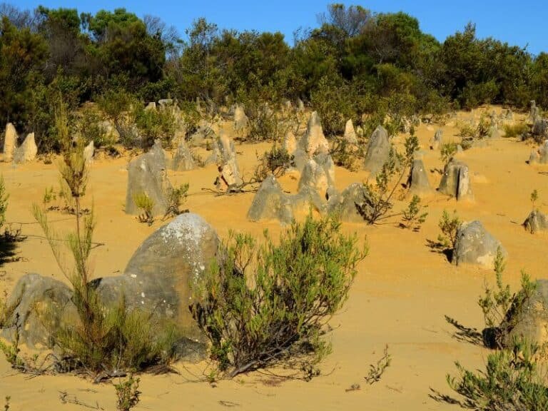 Exploring the Pinnacles Desert in Western Australia