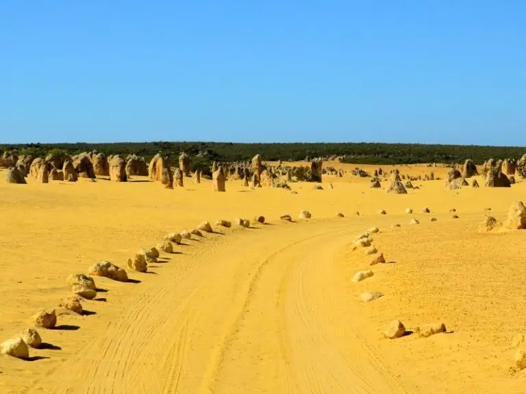 Exploring the Pinnacles Desert in Western Australia