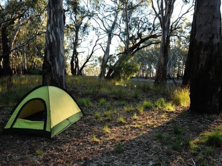 Explore Tasmania in 5 Days: Your Ultimate Itinerary Guide