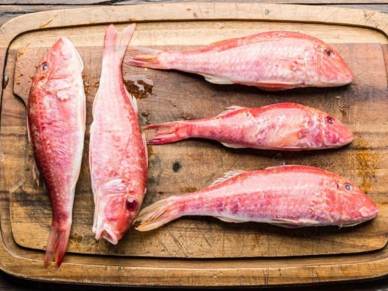 Nagarai Fish vs Sankara Fish: A Friendly Comparison of Flavor and Texture