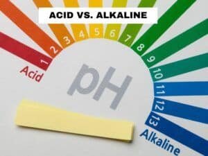 Is Avocado Alkaline or Acidic? (PH Level Info)