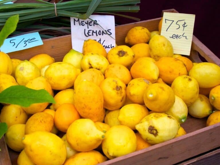 How to Determine When Your Meyer Lemon Is Ripe