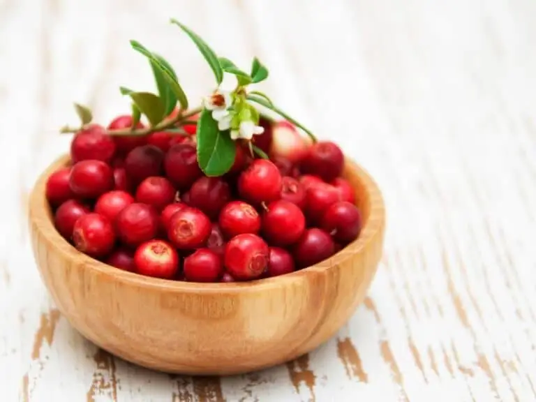 How to Easily Determine When Cranberries Are Perfectly Ripe