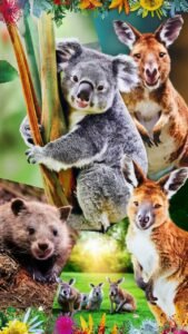 11 Adorable Australian Animals You Can Only See Down Under