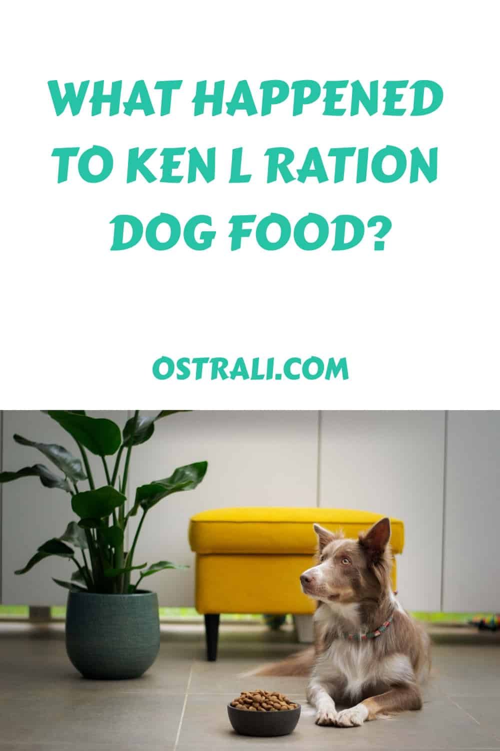 What Happened To Ken L Ration Dog Food?