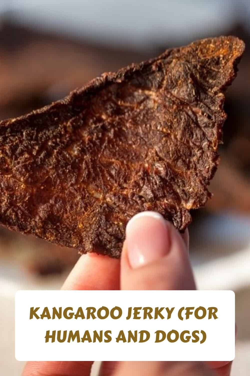 Kangaroo Jerky (For Humans and Dogs)