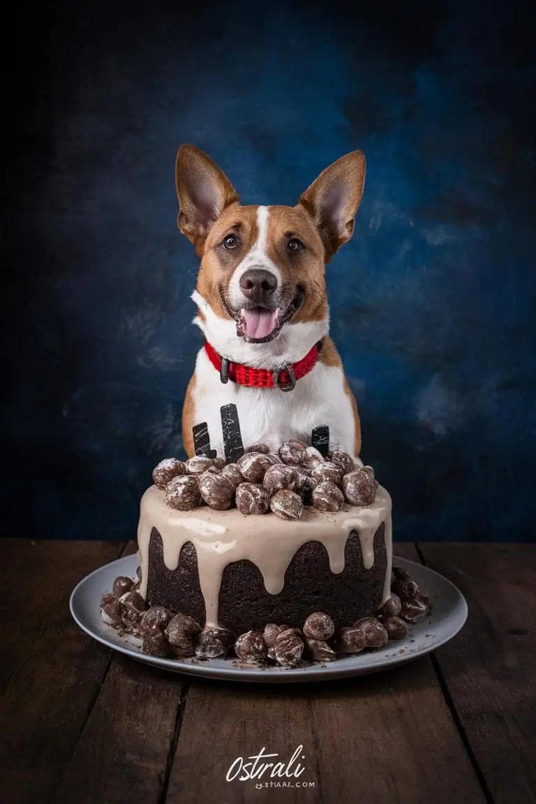15 Irresistible 3-Ingredient Dog Cakes to Spoil Your Furry Best Friend