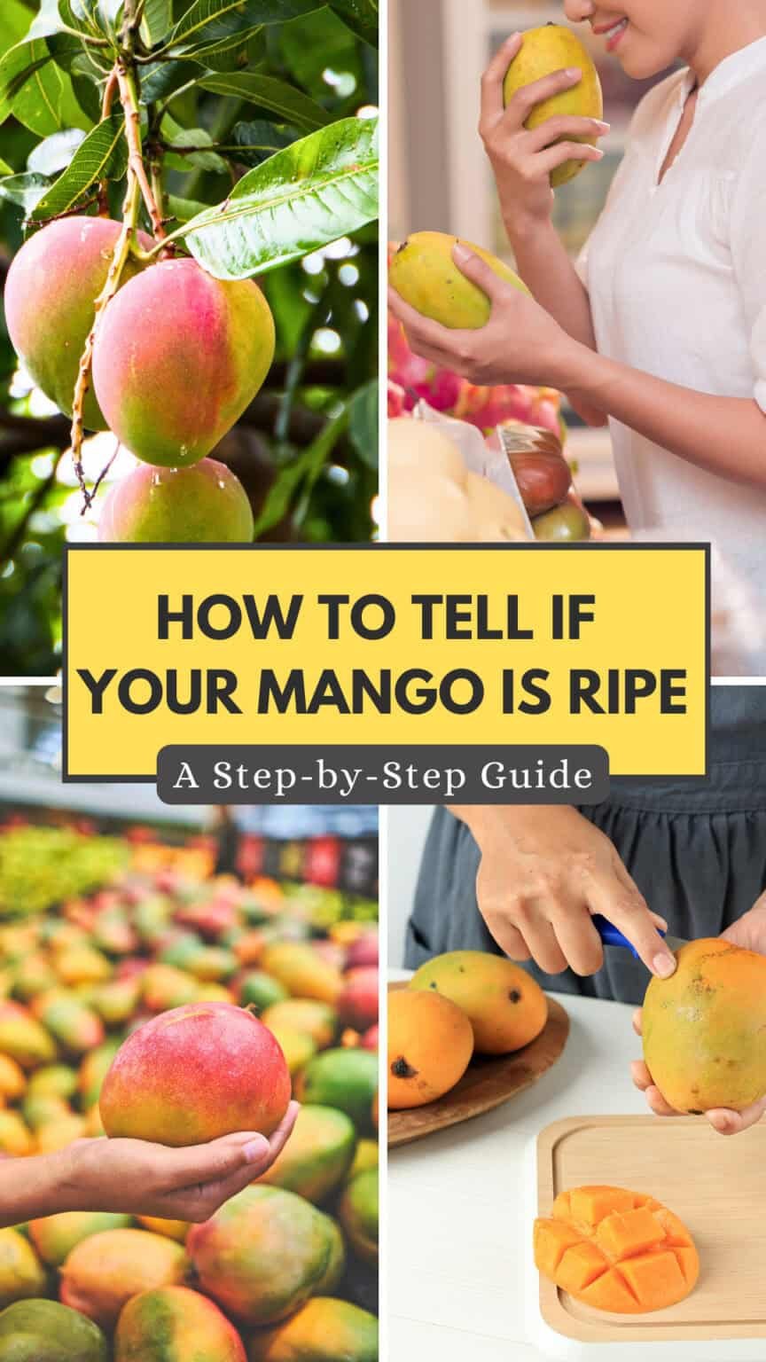 How to Tell if Your Mango Is Ripe: A Step-by-Step Guide