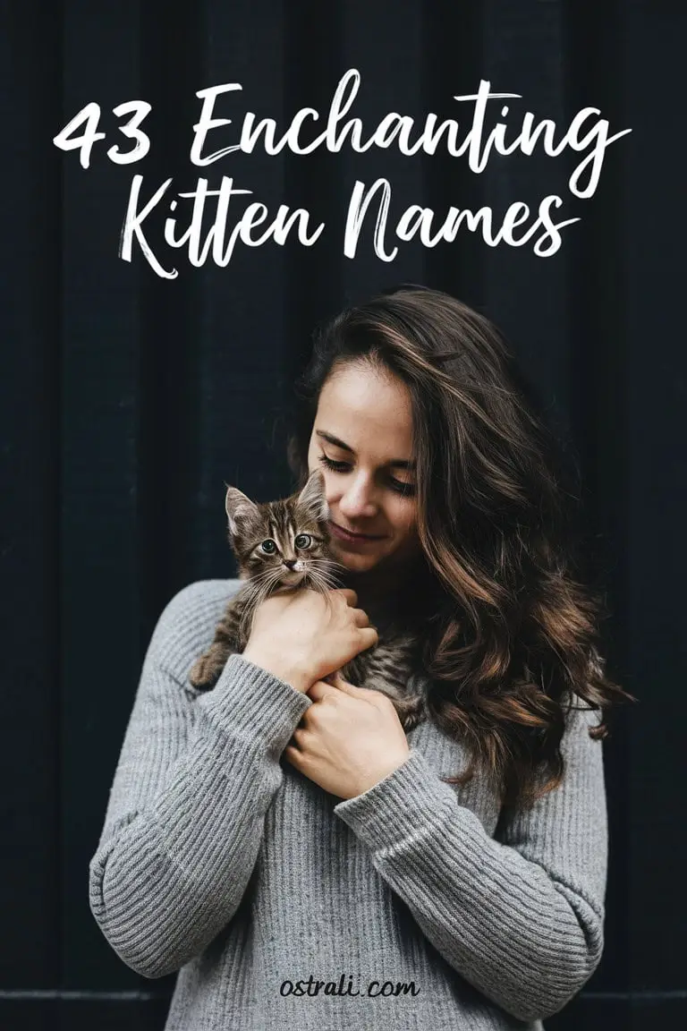 43 Enchanting Kitten Names to Inspire Your Next Feline Friend