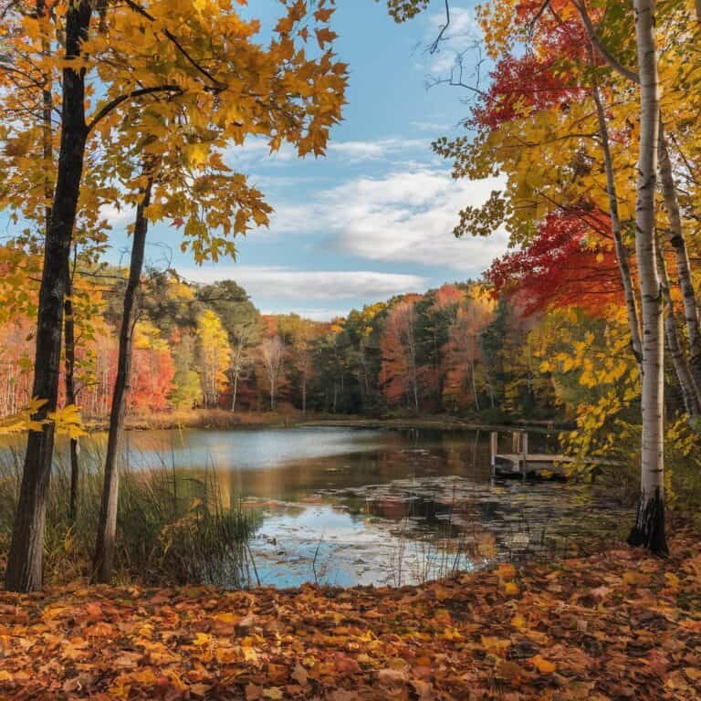 9 Ways to Embrace Autumn Landscape Vibes - ostrali.com