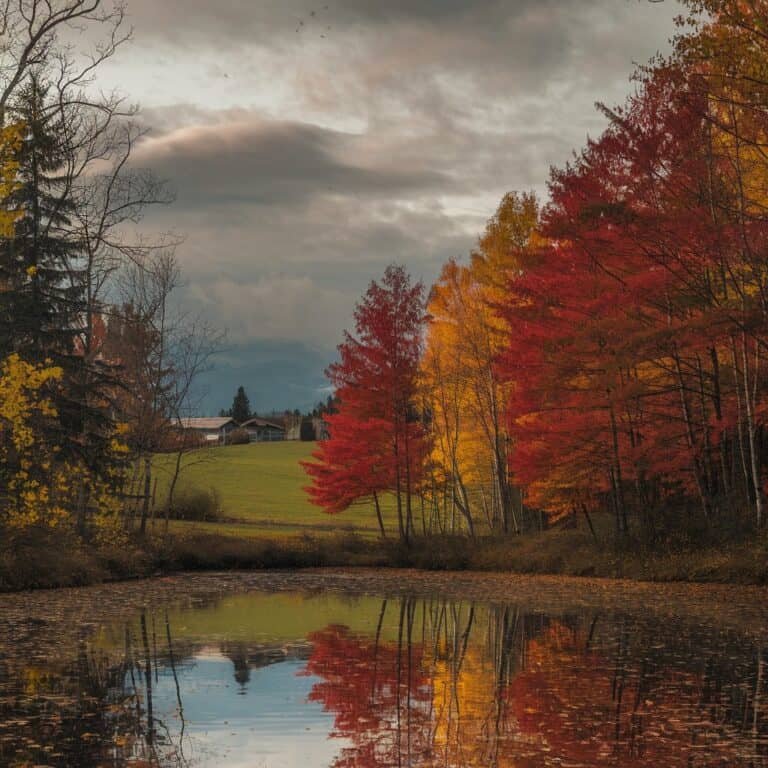 9 Ways to Embrace Autumn Landscape Vibes - ostrali.com