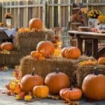 9 Fabulous Autumn Party Ideas You’ll Absolutely Love - ostrali.com