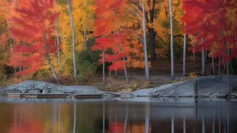 25+ Fall Laptop Backgrounds to Inspire Your Season - ostrali.com