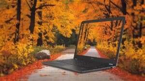 25+ Fall Laptop Backgrounds to Inspire Your Season - ostrali.com