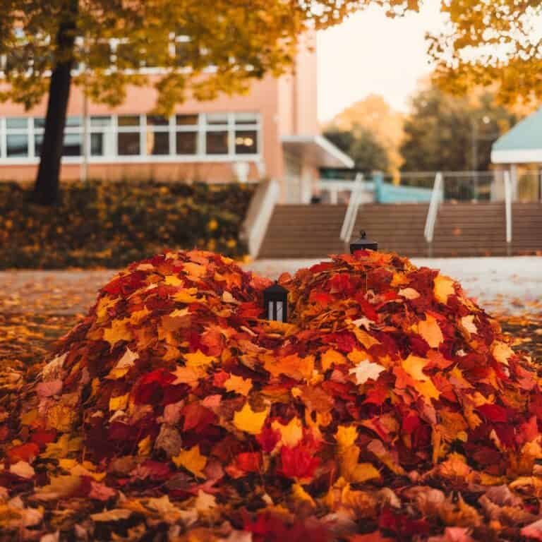 10 Fall Leaves Ideas to Inspire Your Autumn - ostrali.com