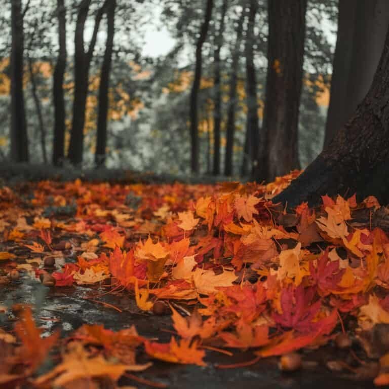 10 Fall Leaves Ideas to Inspire Your Autumn - ostrali.com