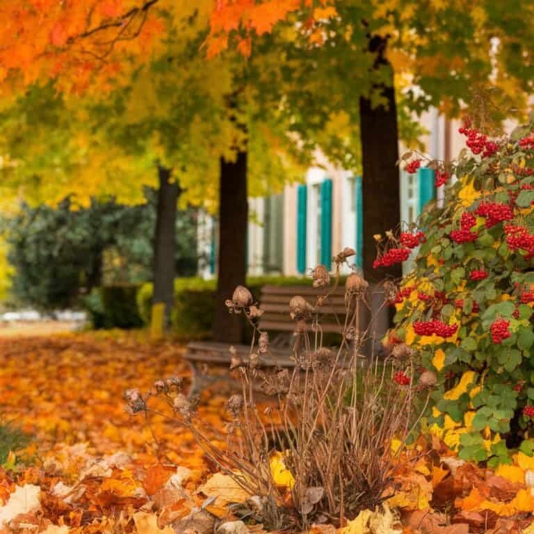 50+ Fall Painting Ideas to Inspire Your Creativity - ostrali.com