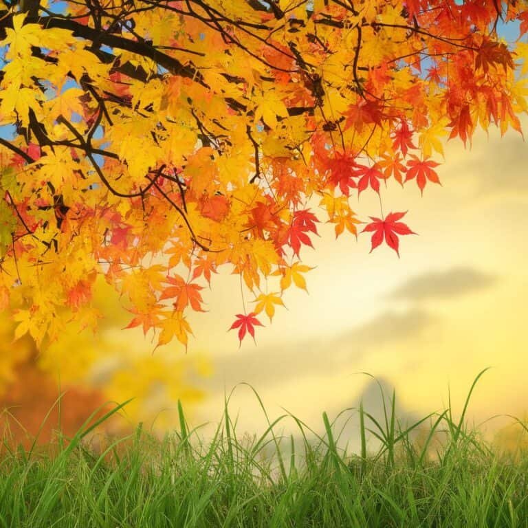 50+ Fall Painting Ideas to Inspire Your Creativity - ostrali.com