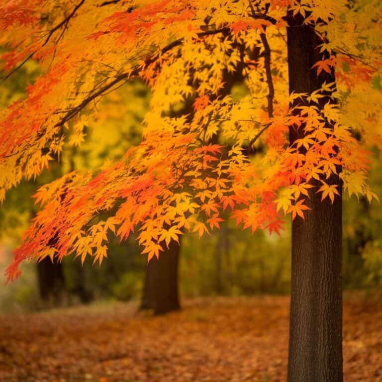 50+ Fall Painting Ideas to Inspire Your Creativity - ostrali.com