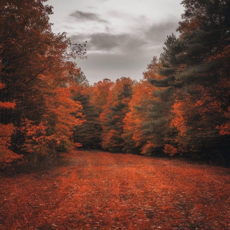 9 Fall Pictures That Will Inspire You to Create - ostrali.com
