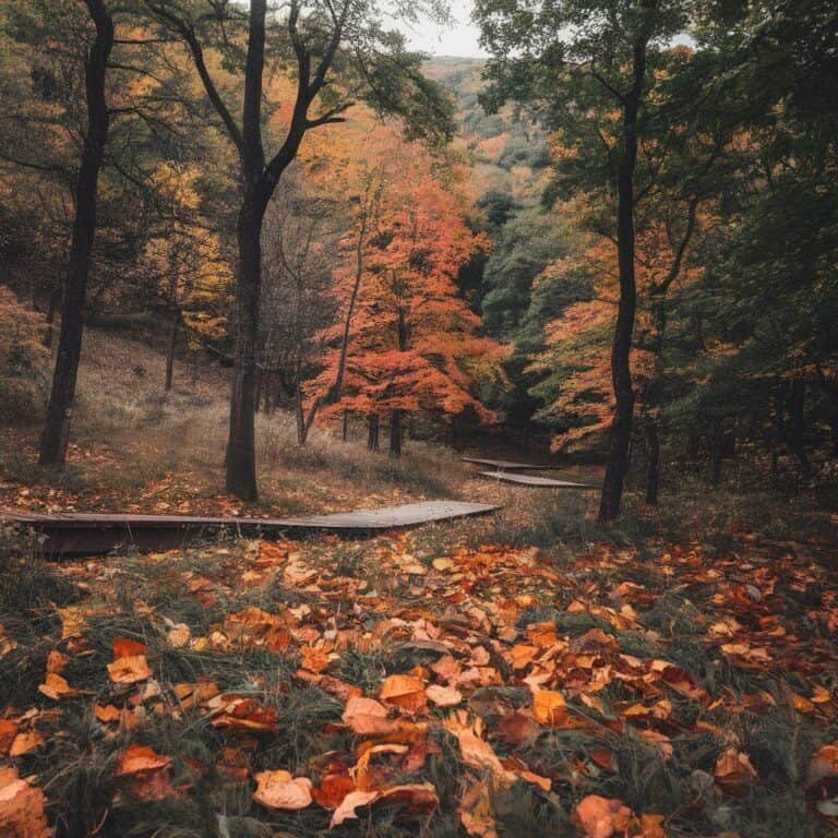 9 Fall Pictures That Will Inspire You to Create - ostrali.com