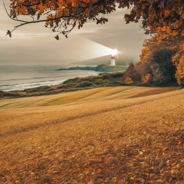 11 Inspiring Fall Seas Activities to Embrace the Season - ostrali.com