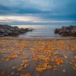 11 Inspiring Fall Seas Activities to Embrace the Season - ostrali.com