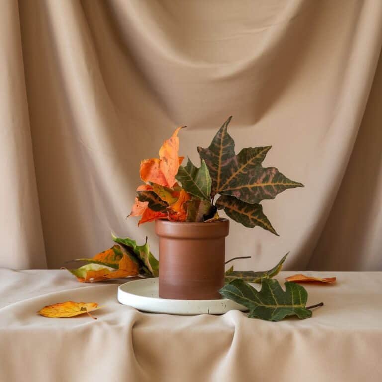 9 Fall Tablescapes You’ll Love to Create - ostrali.com