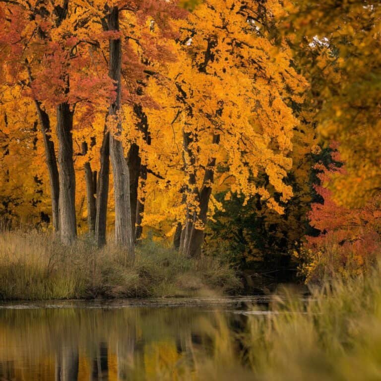 10 Fall Wallpaper iPad Ideas You’ll Love - ostrali.com
