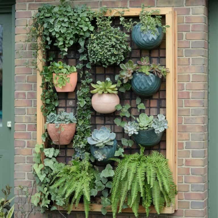 9 Home Wall Plant Ideas to Beautify Your Space - ostrali.com