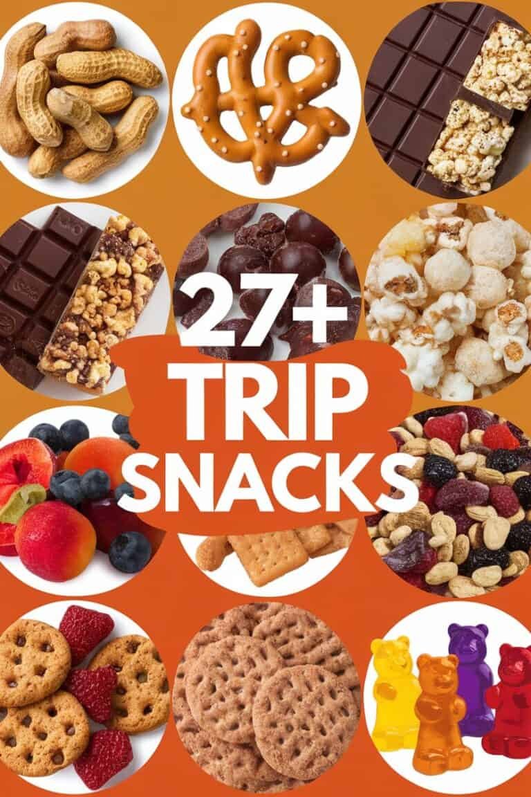 27+ Delicious Trip Snacks For Your Roadside Adventure (List)