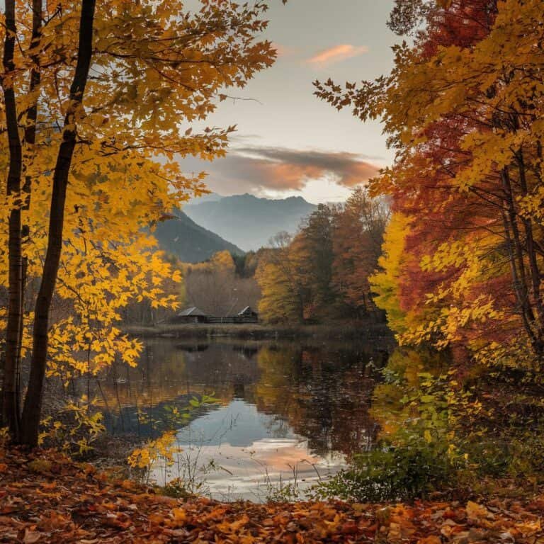 11 Autumn Ideas to Spark Your Seasonal Spirit - ostrali.com