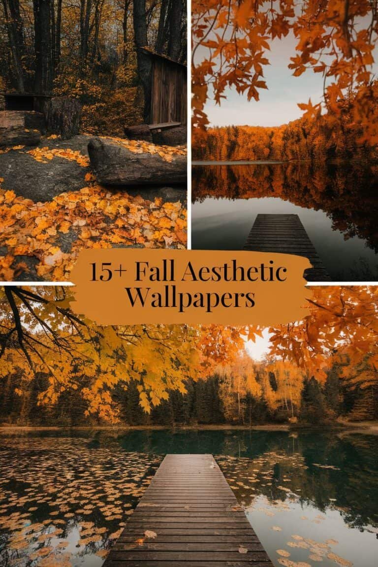 15 Fall Aesthetic Wallpapers That Will Transform Your Phone Into an ...