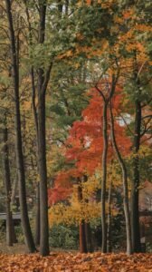 21+ Fall Colors to Inspire Your Next Creative Project - ostrali.com