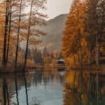 21+ Fall Colors to Inspire Your Next Creative Project - ostrali.com